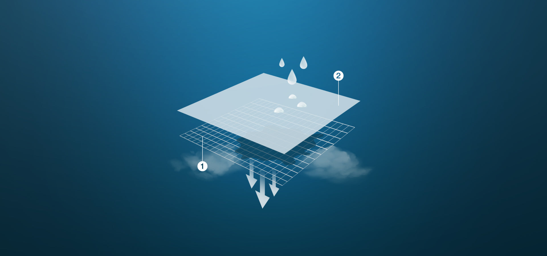 VISDRY collection – DETERMINANT